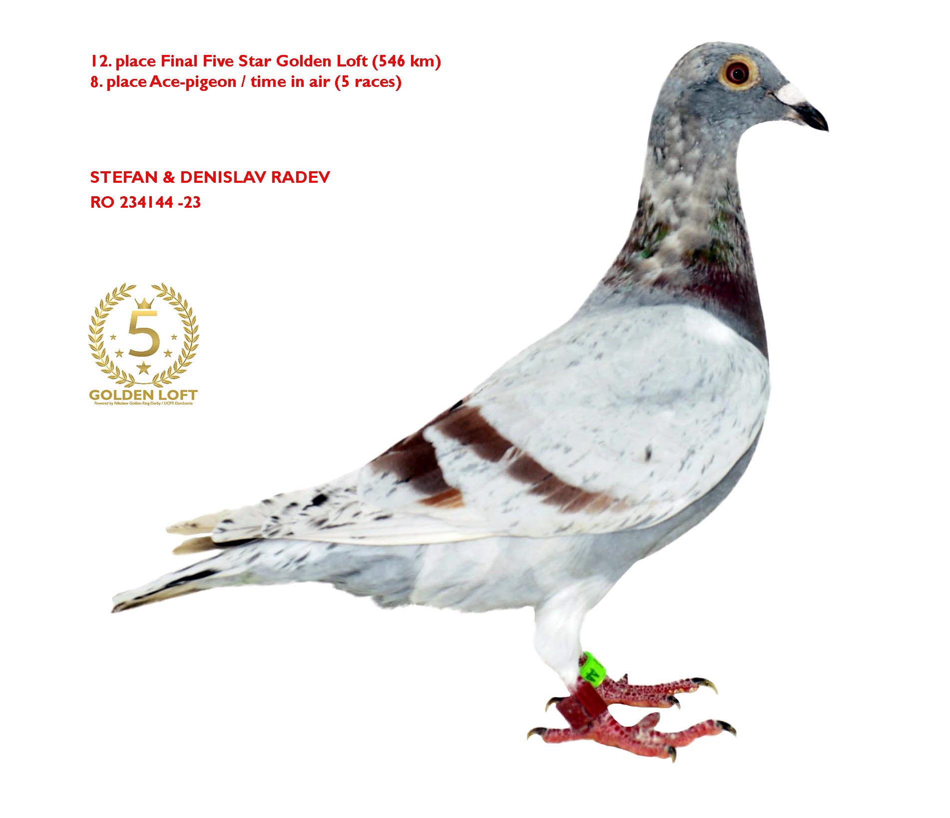 12 place Final (546 km) + 8 Ace STEFAN & DENISLAV RADEV 234144