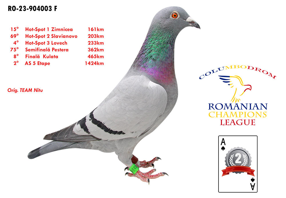 8 Final Race (465km) RO-23-904003 F Orig. Team Nitu
