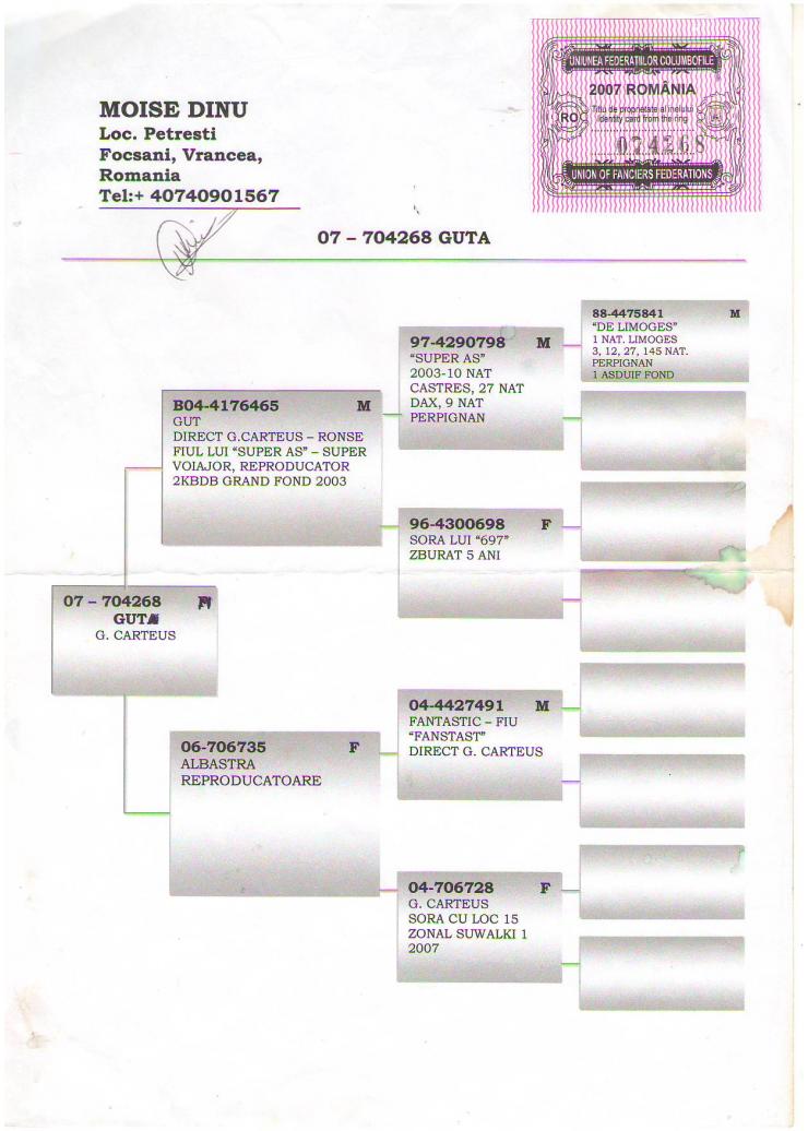 RO 074268/07 M - nepot Super AS George Carteus